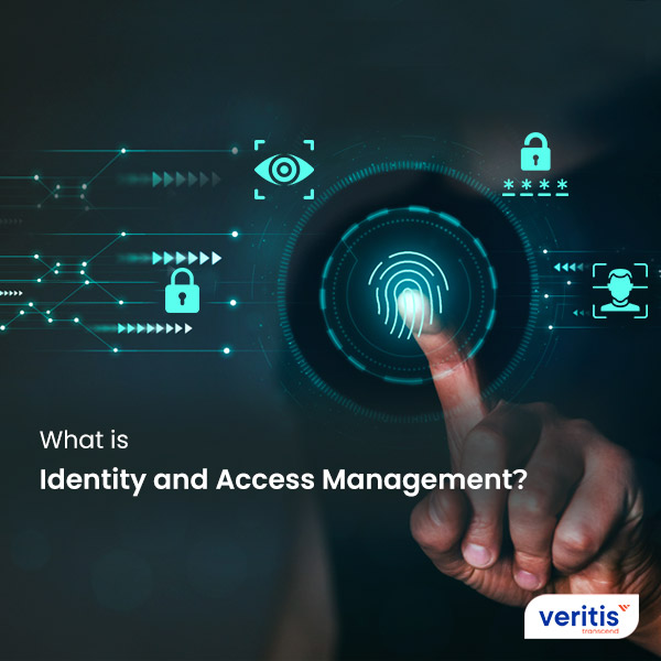 What is Identity and Access Management (IAM)?